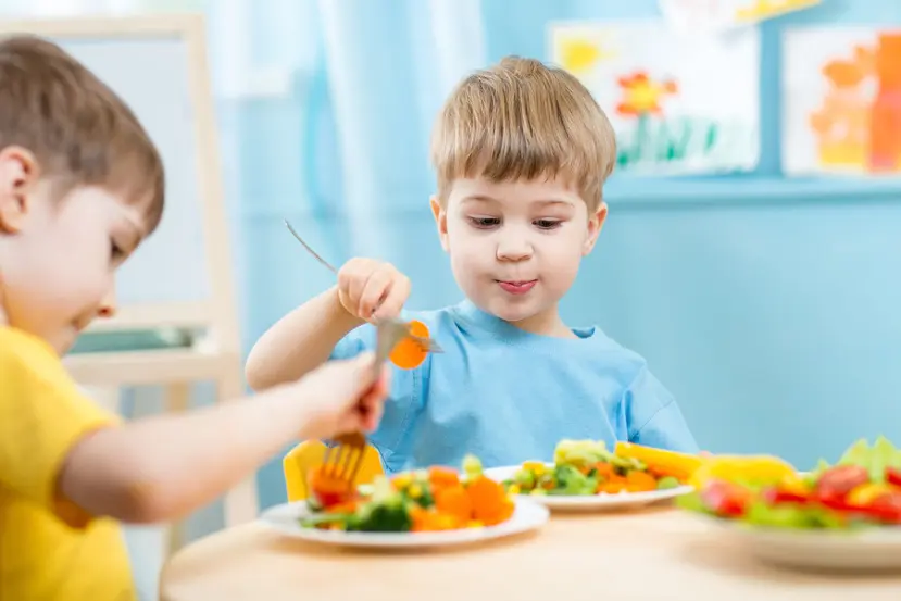 Sample Daily Meal Plan For Feeding Your Preschooler Sample Daily Meal Plan For Feeding Your Preschooler